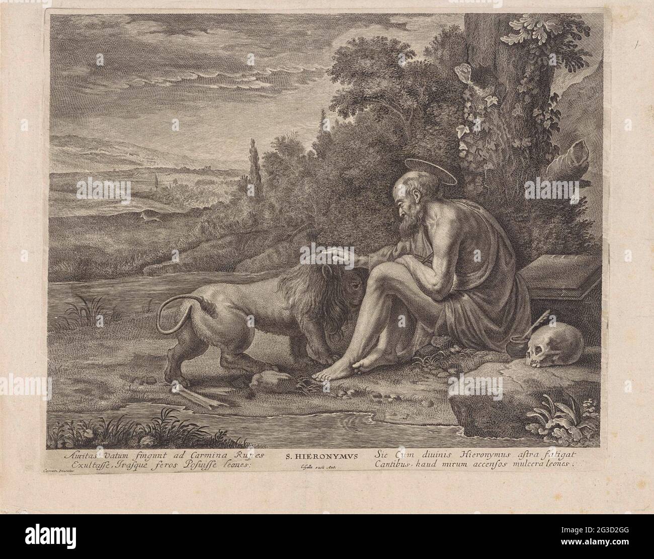H. Hieronymus under a tree; S. Hieronymus. H. Hieronymus is under a ...