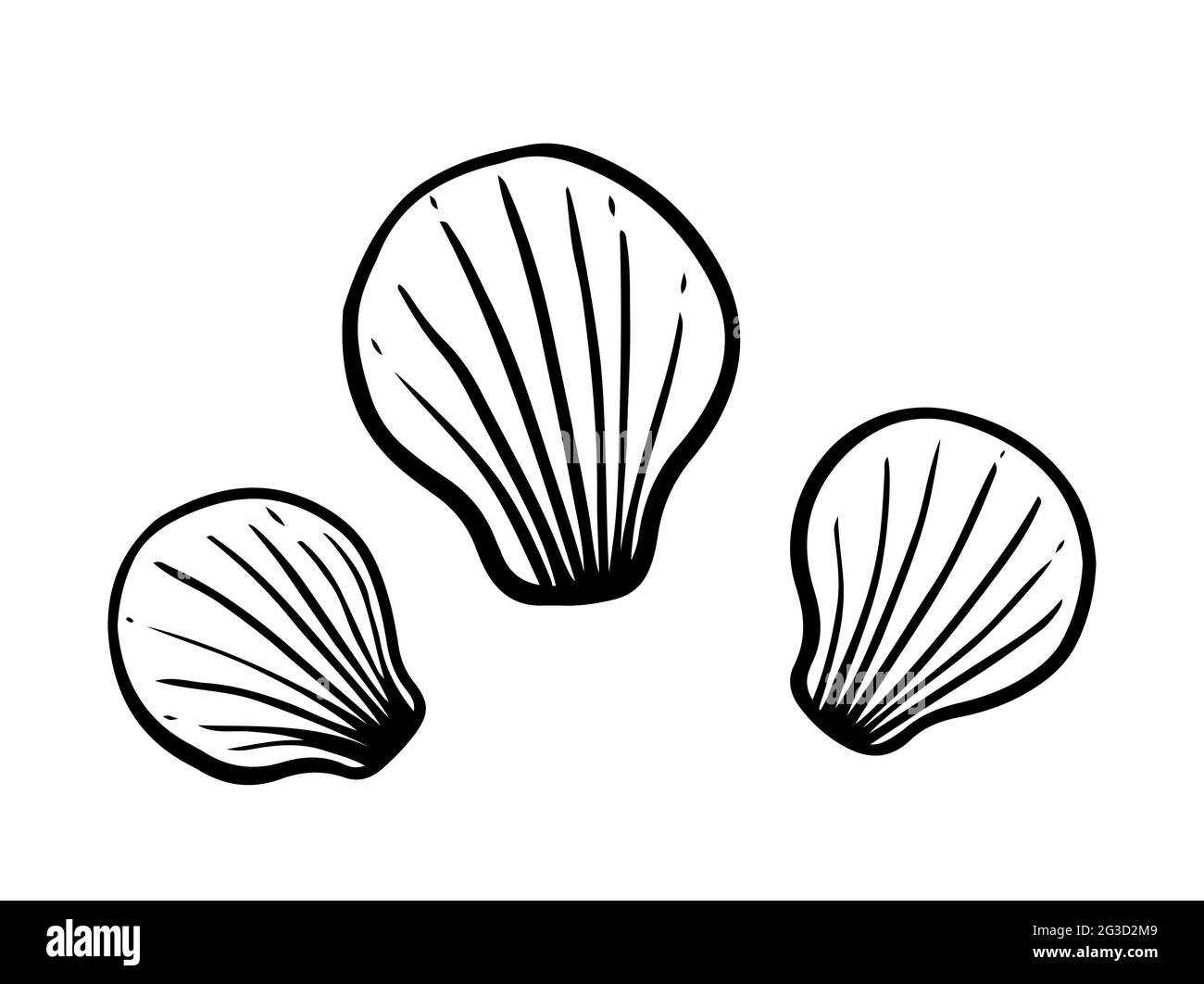 Closed Clam Shell Clip Art