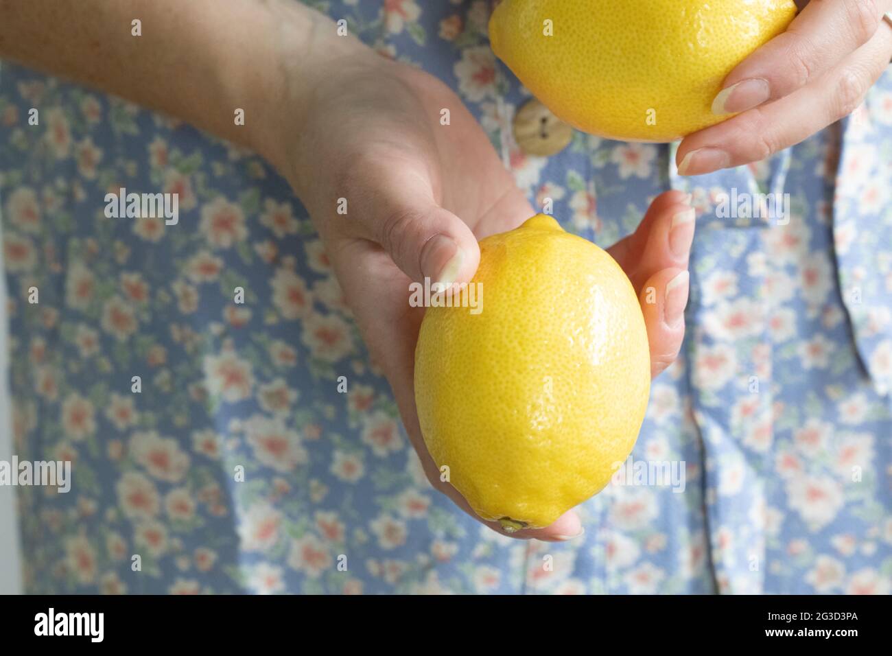 Two lemon in the hands of a woman with the background of her floral ...