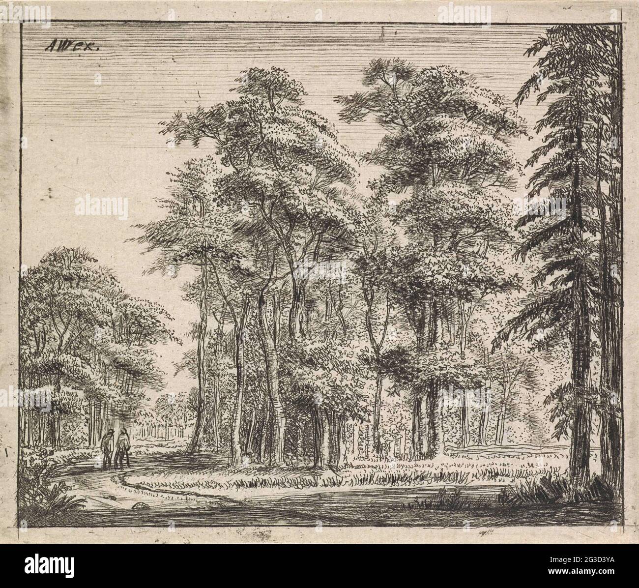Two figures on a winding path in a forest. Two figures are walking ...