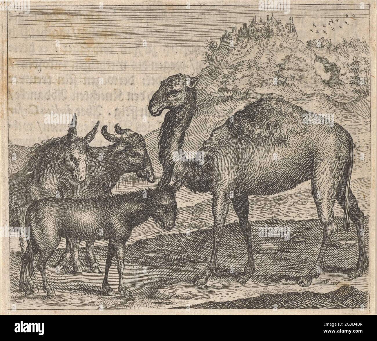Stable of the donkey, the buffalo the camel and the mule. In the ...