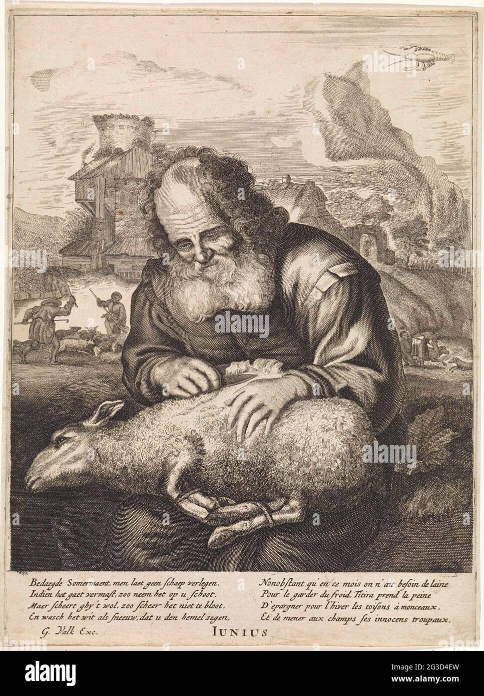 Junior shepherd hi-res stock photography and images - Alamy