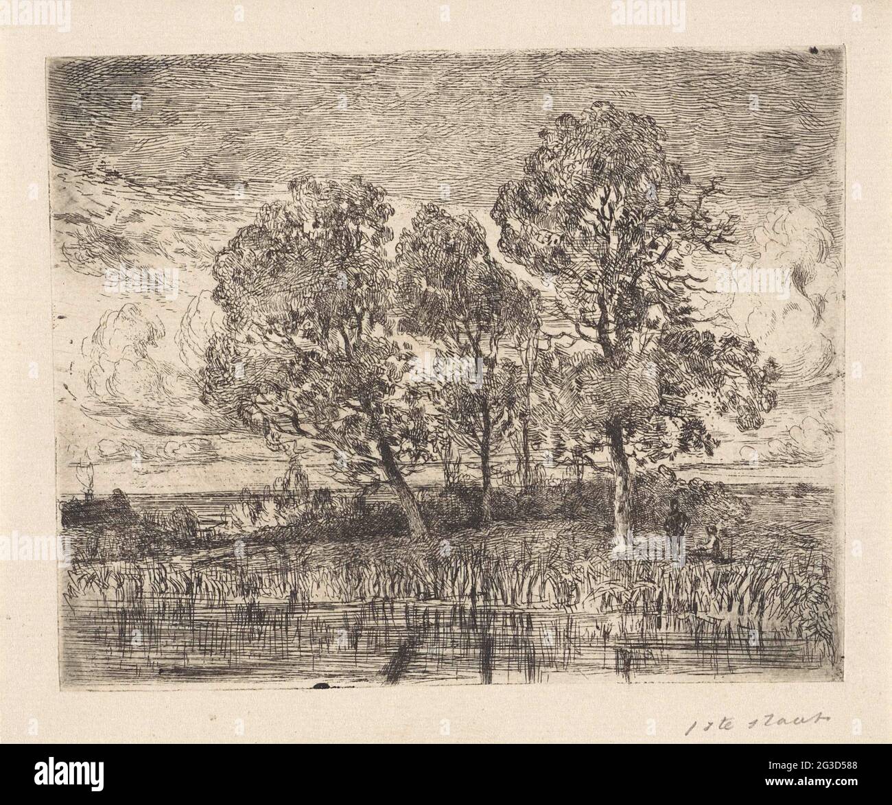 Three trees on a shore. View of a river landscape with three trees on ...