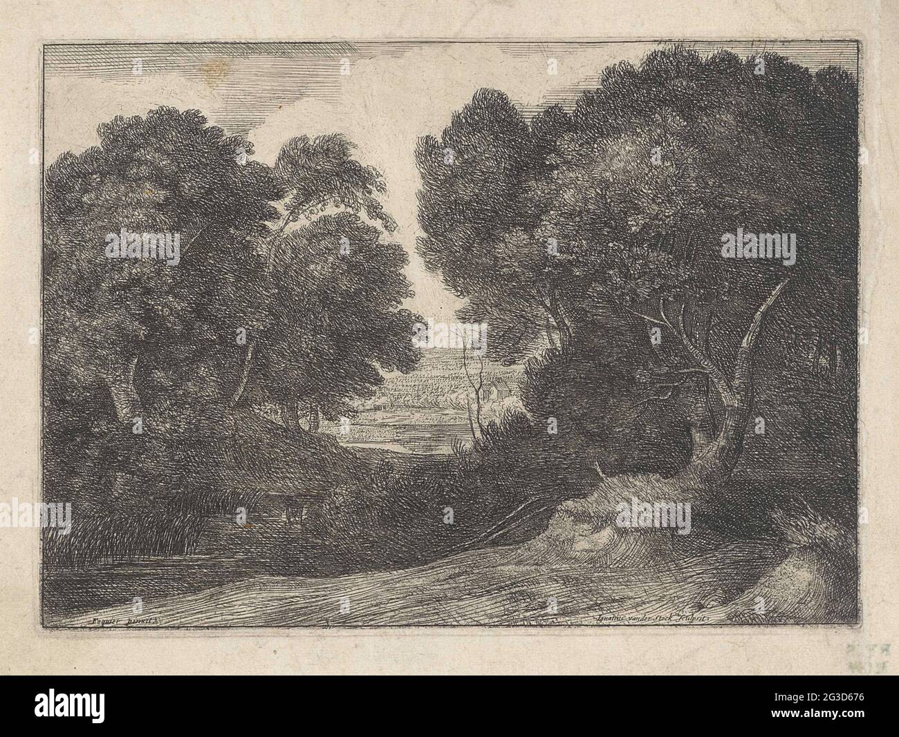 Forest. Forest landscape with a view between the trees to an open ...