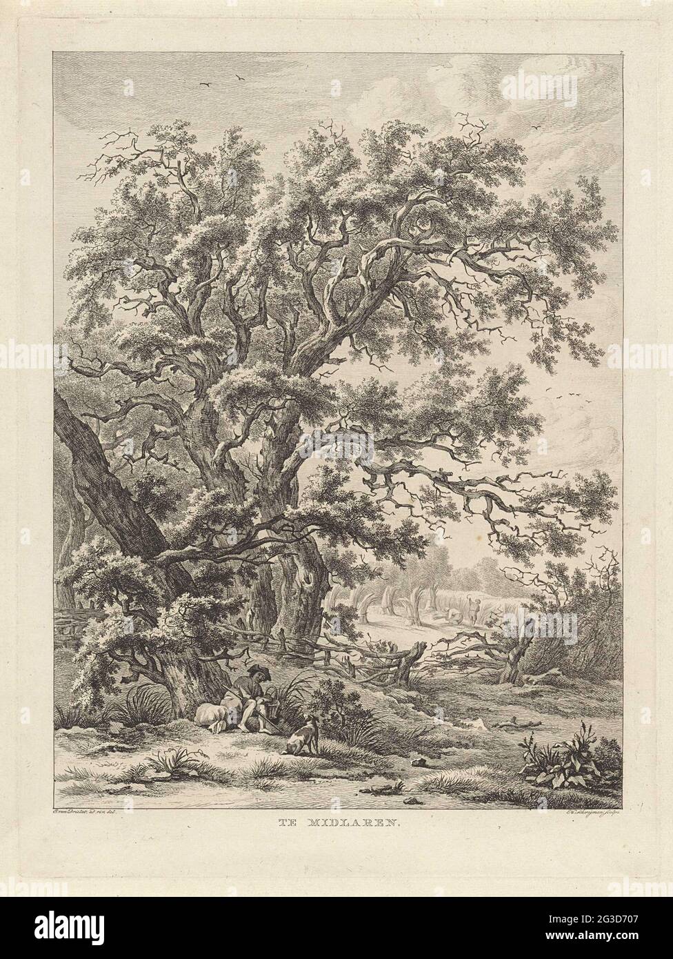 Landscape at Midlaren; In Midlaren; IX faces in and at the Drenthe ...