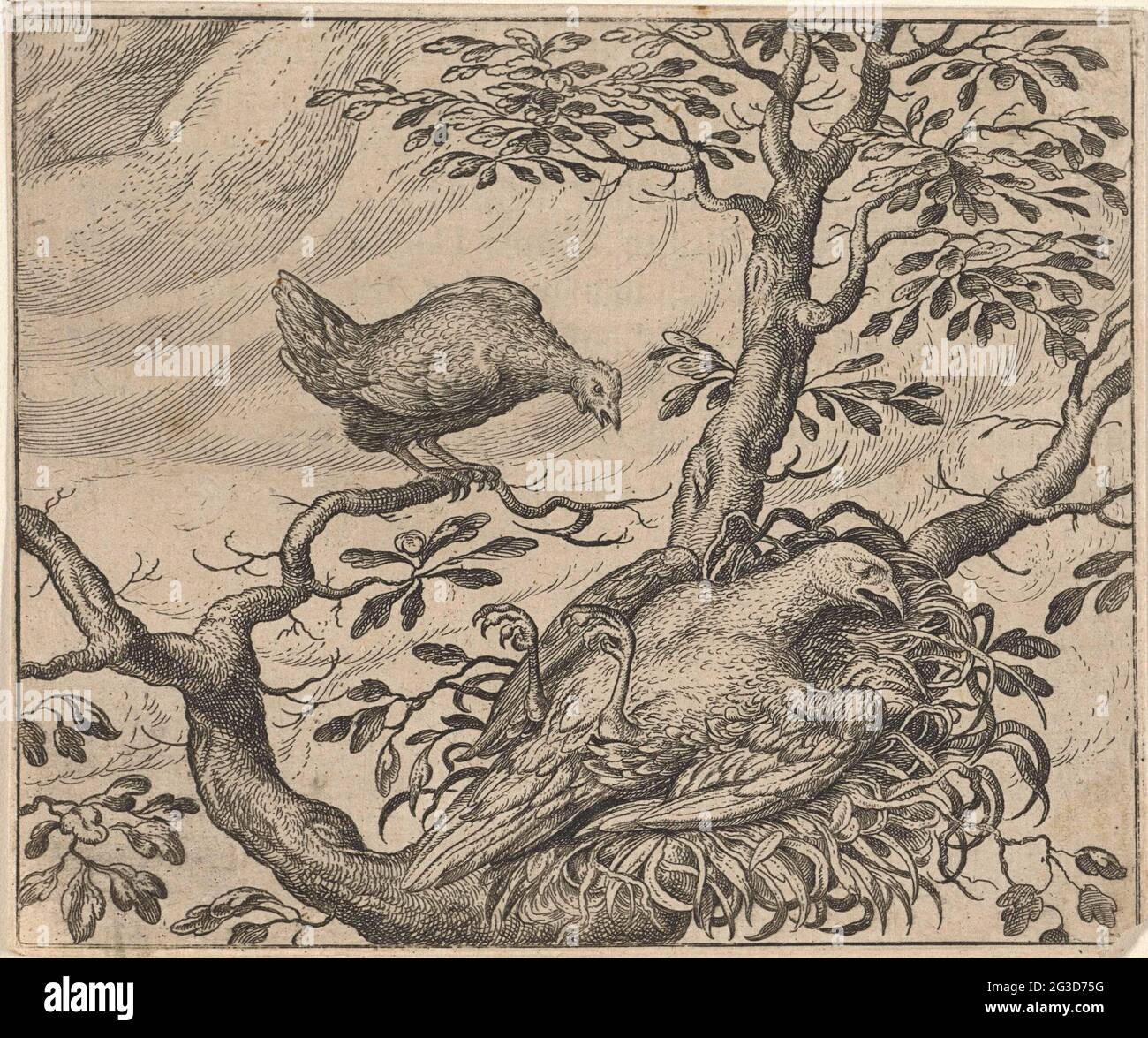 Fabel of the sick vulture. A nest in a tree with a sick vulture. Next ...