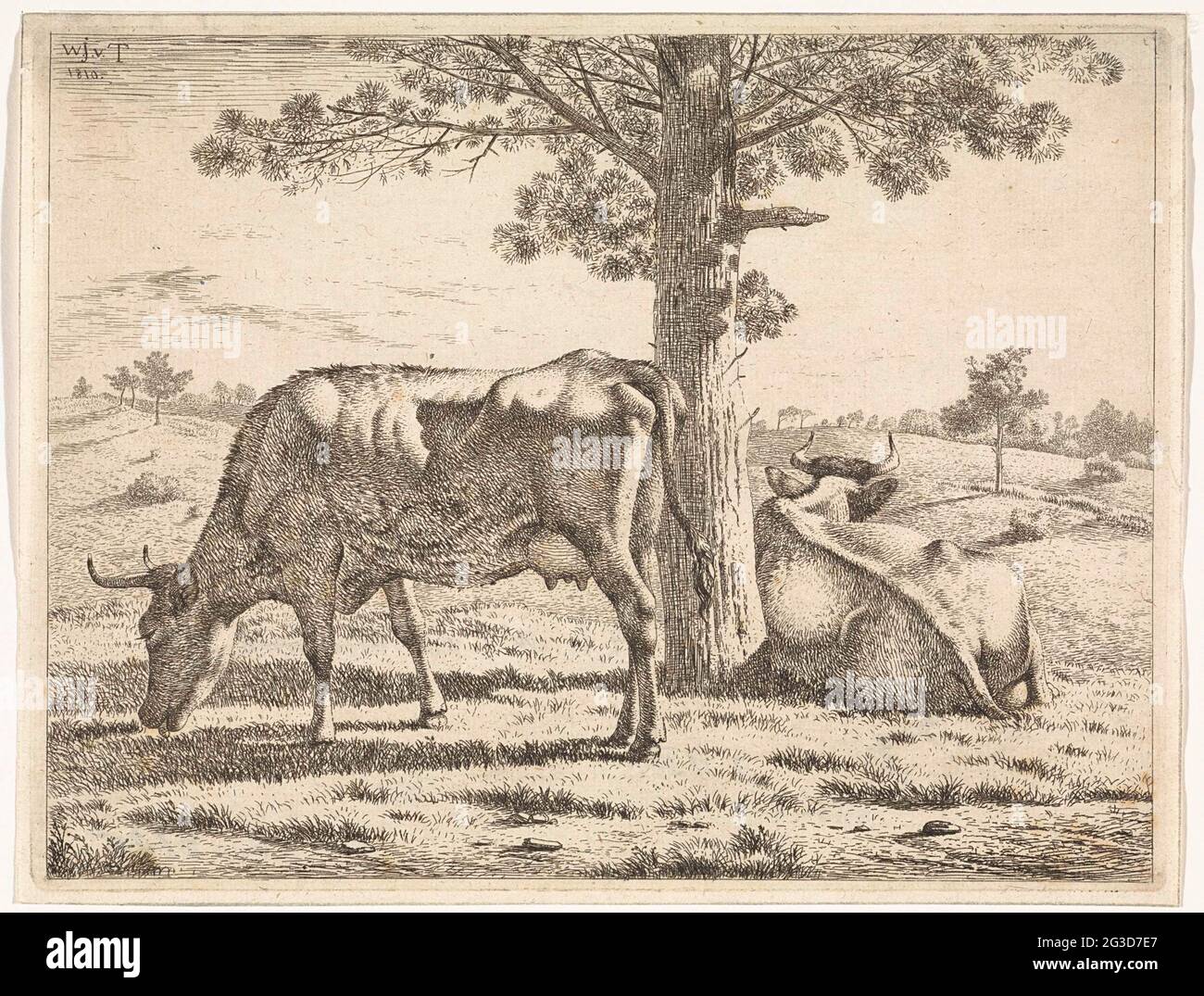 Two cows at a tree Stock Photo - Alamy