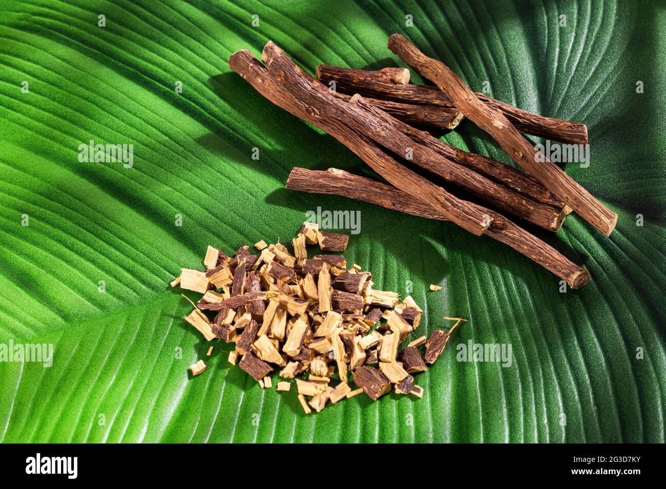 Creative Image of Licorice - Glycyrrhiza glabra Stock Photo - Alamy