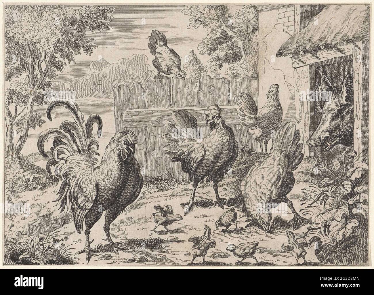 Roosters, chickens, chicks and a wild boar Stock Photo - Alamy