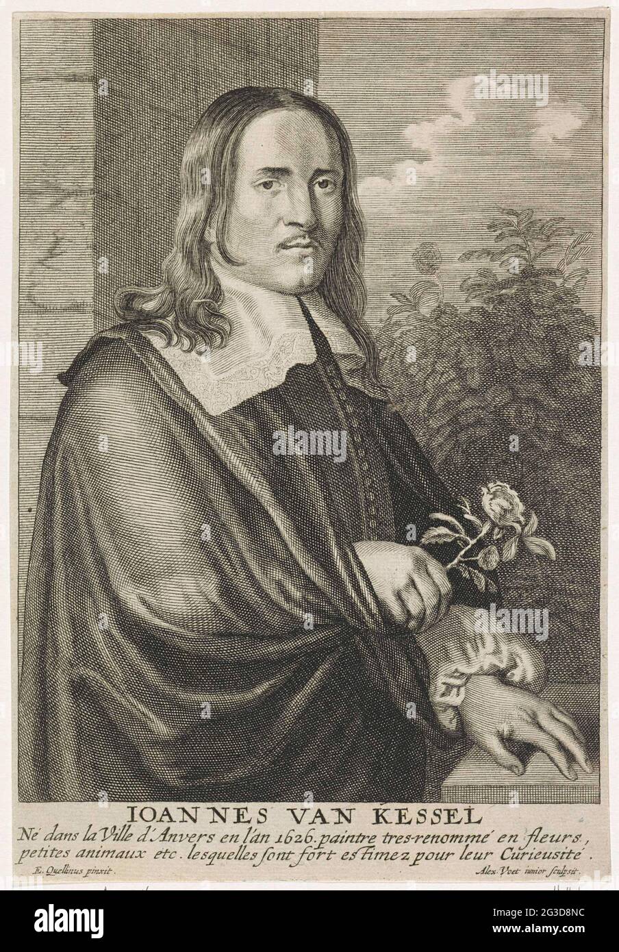 Portrait of the painter Jan van Kessel I Stock Photo - Alamy