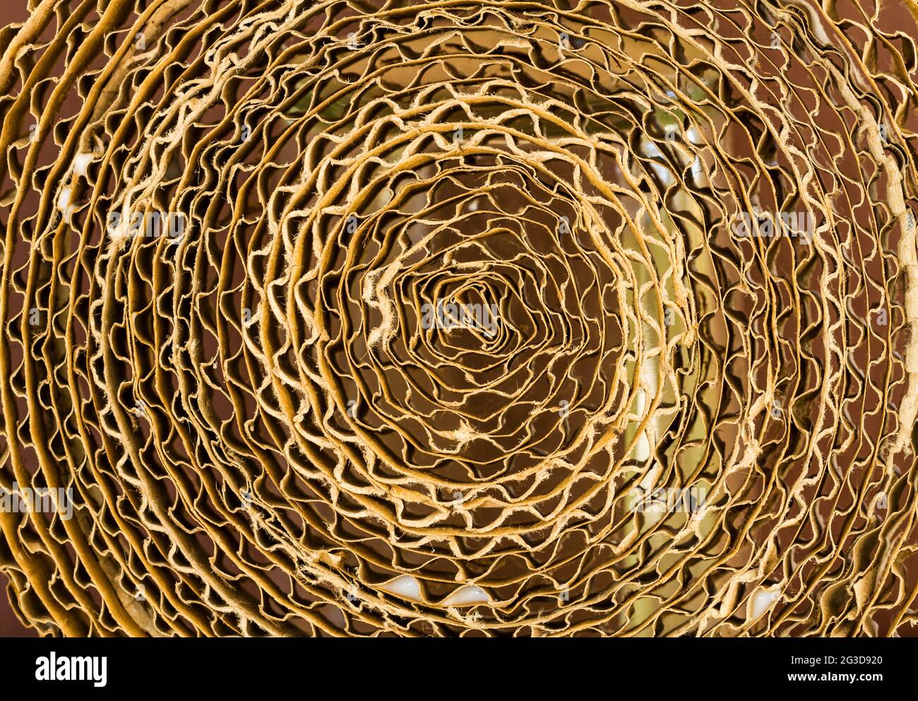 Macro texture of cardboard in the sectional of the folded in several ...