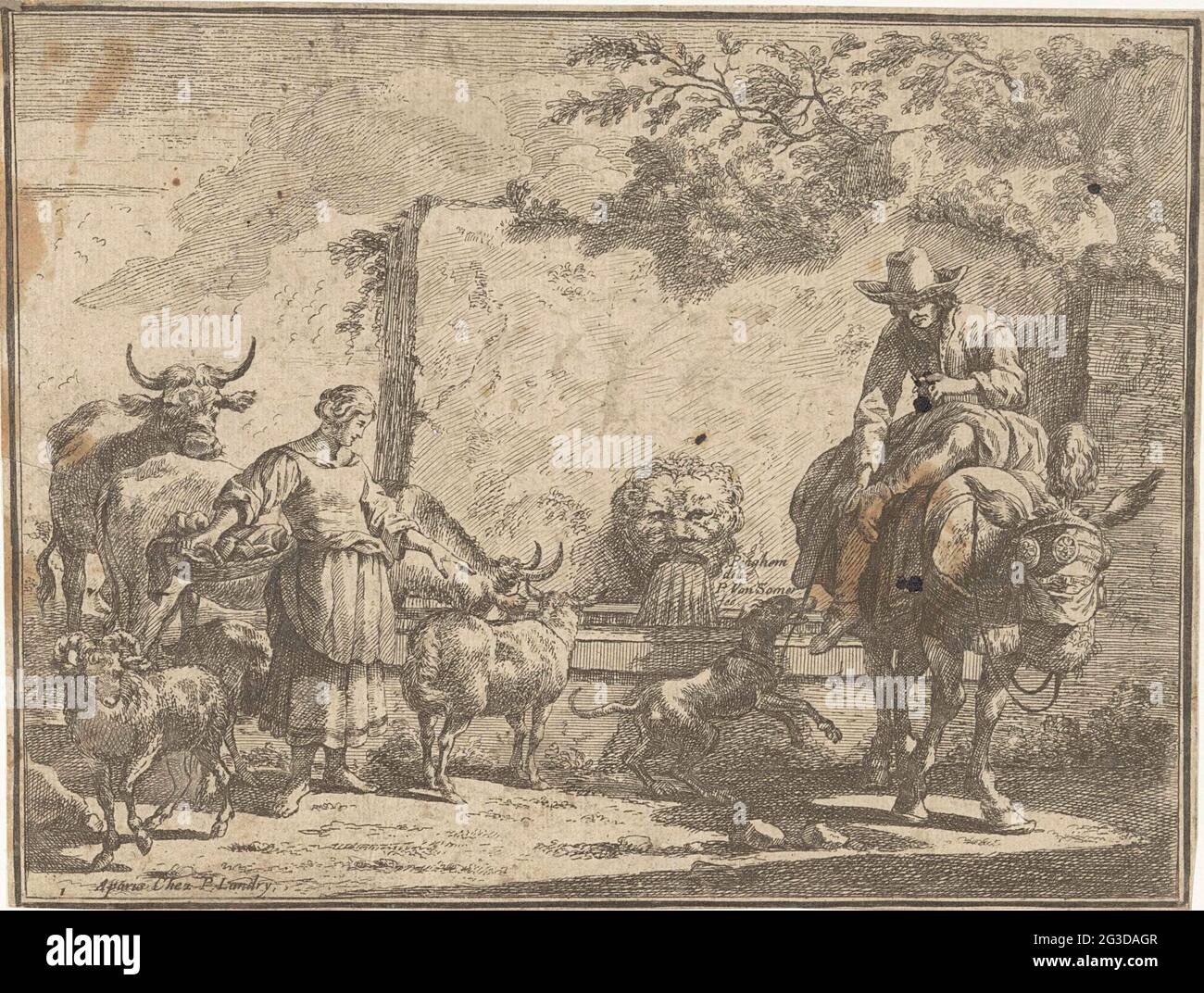 Donkey Call High Resolution Stock Photography and Images - Alamy