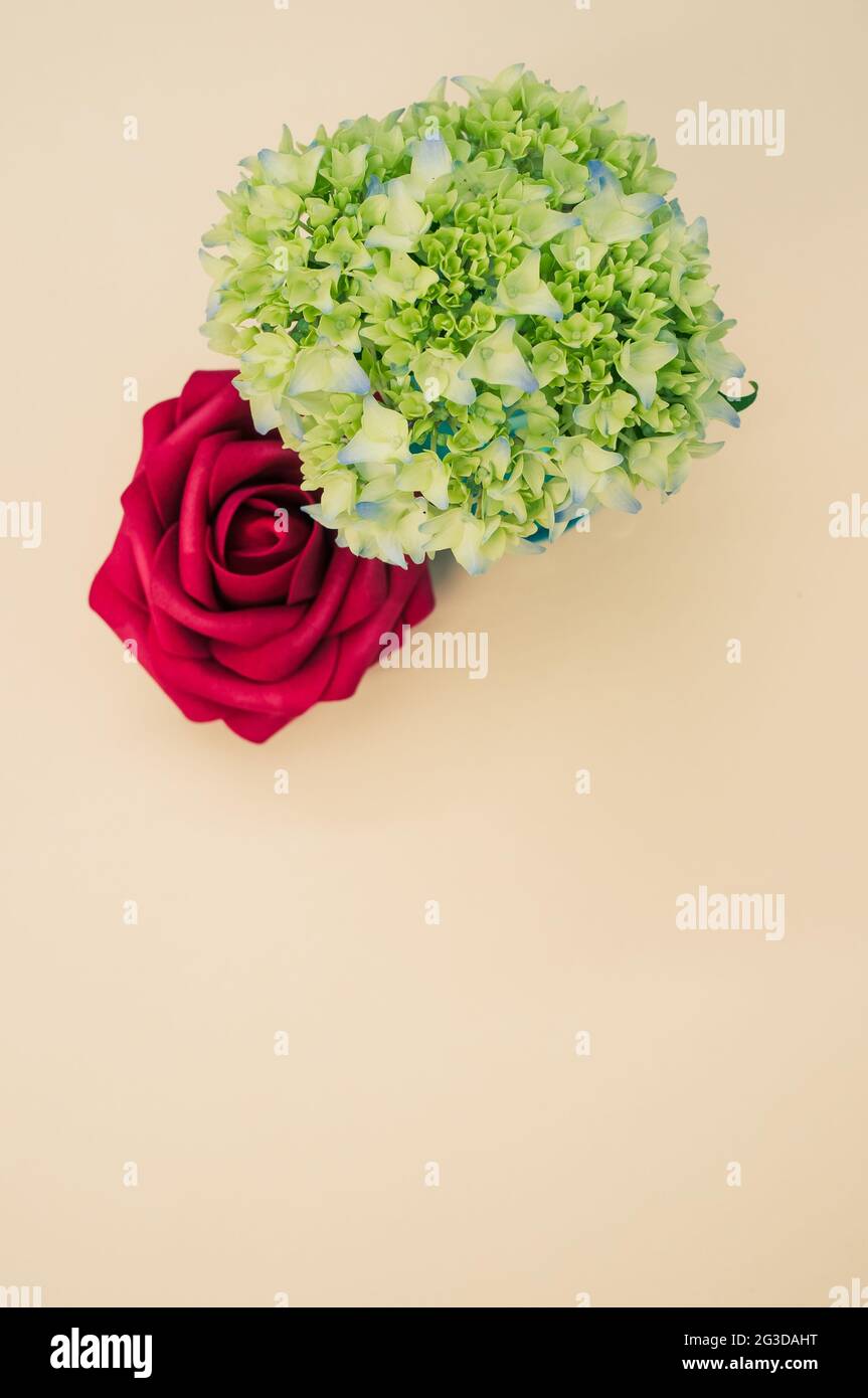 Vertical shot of french hydrangea buds with a rose on a light brown ...