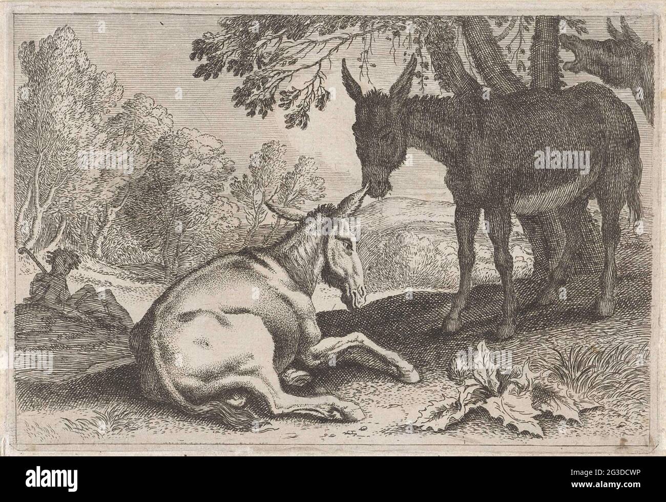 Donkeys; Landscapes with animals (series a). Behind three donkeys under ...
