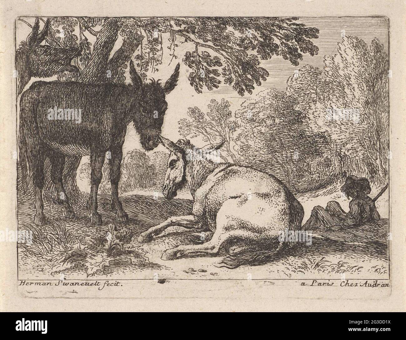 Donkeys; Landscapes with animals. Behind three donkeys under a tree a ...