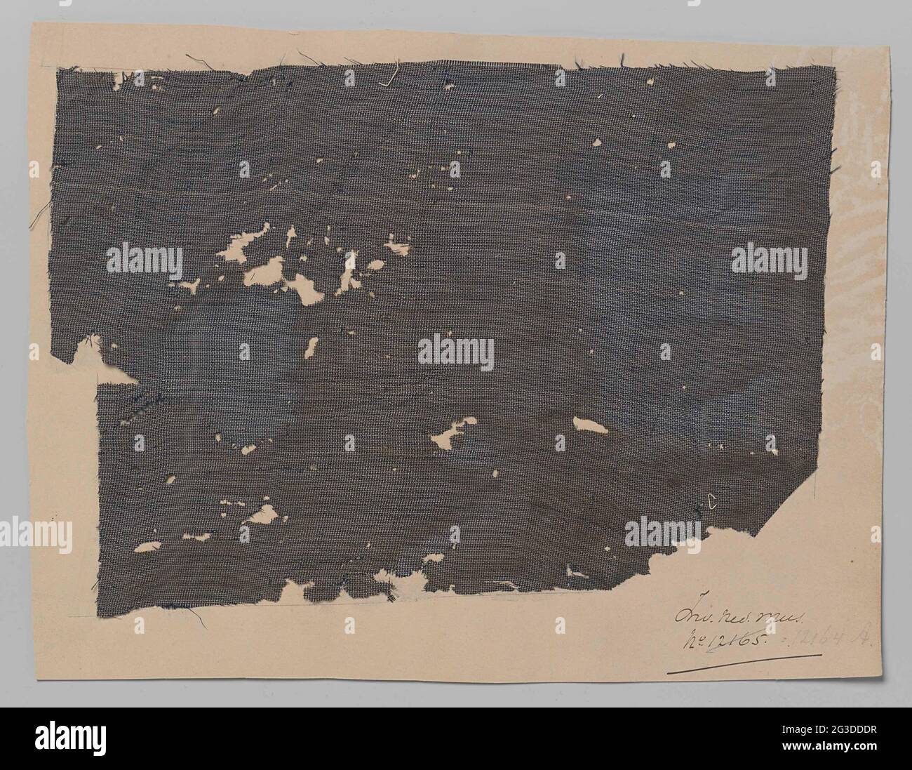 Silk tissue in blue and white sham pattern. Silk tissue fragment in ...