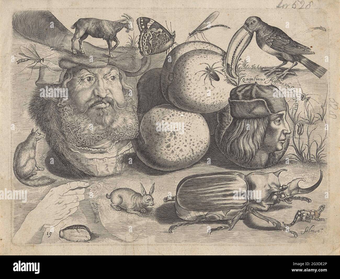 Study sheet with drawing examples: portraits, animals, insects; Drawing ...