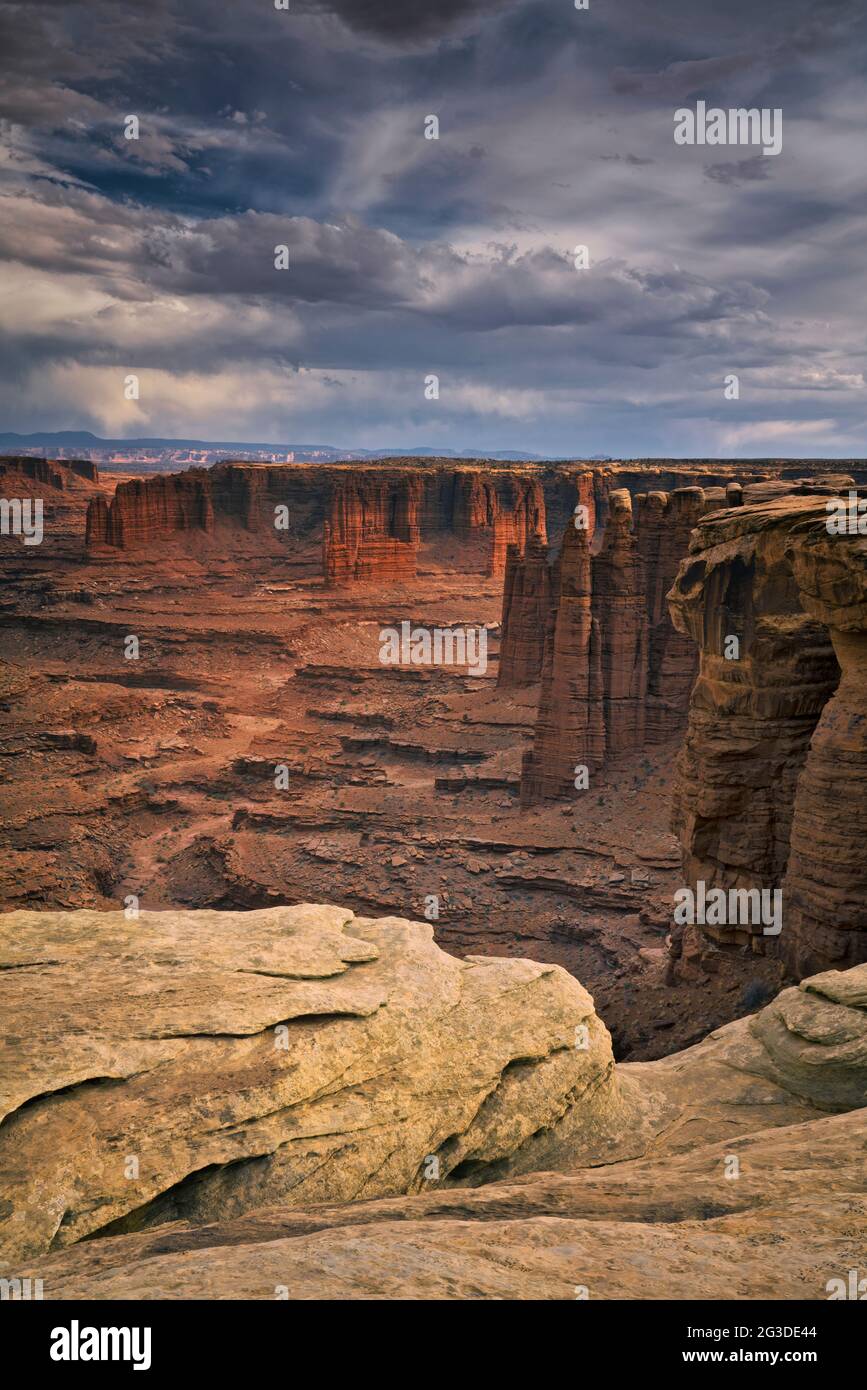 Evening light bathes the towering sandstone spires of Monument Basin as ...