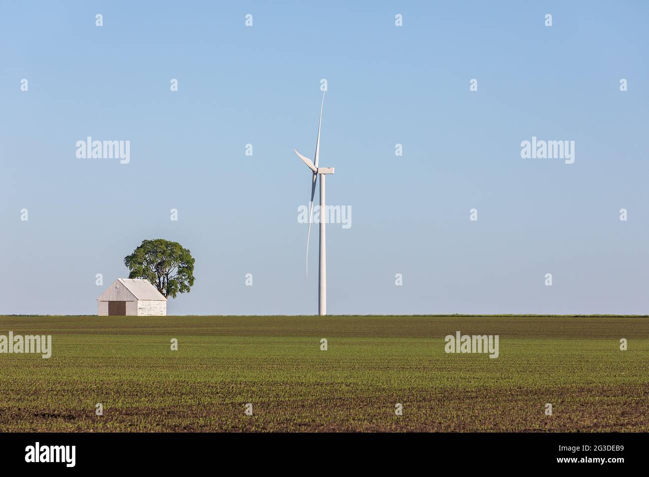 The Cardinal Point wind farm in Warren County, Illinois Stock Photo - Alamy