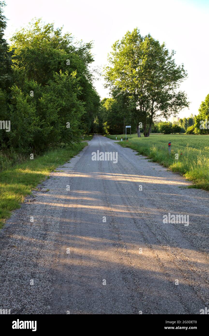 Country road in the shade next to a field Stock Photo - Alamy