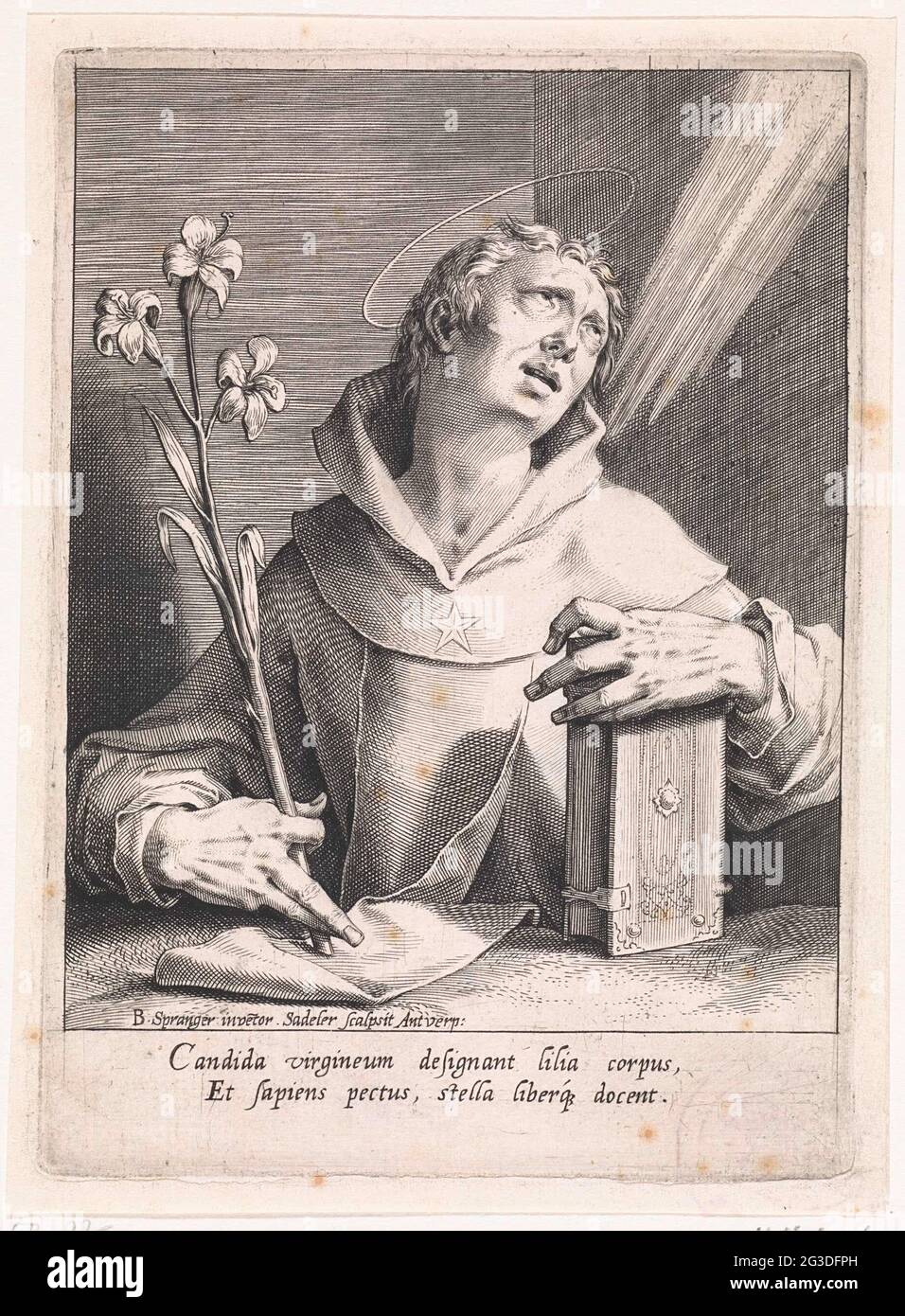 Holy Dominicus (version 1). The H. Dominicus, a lily and a Bible in the ...