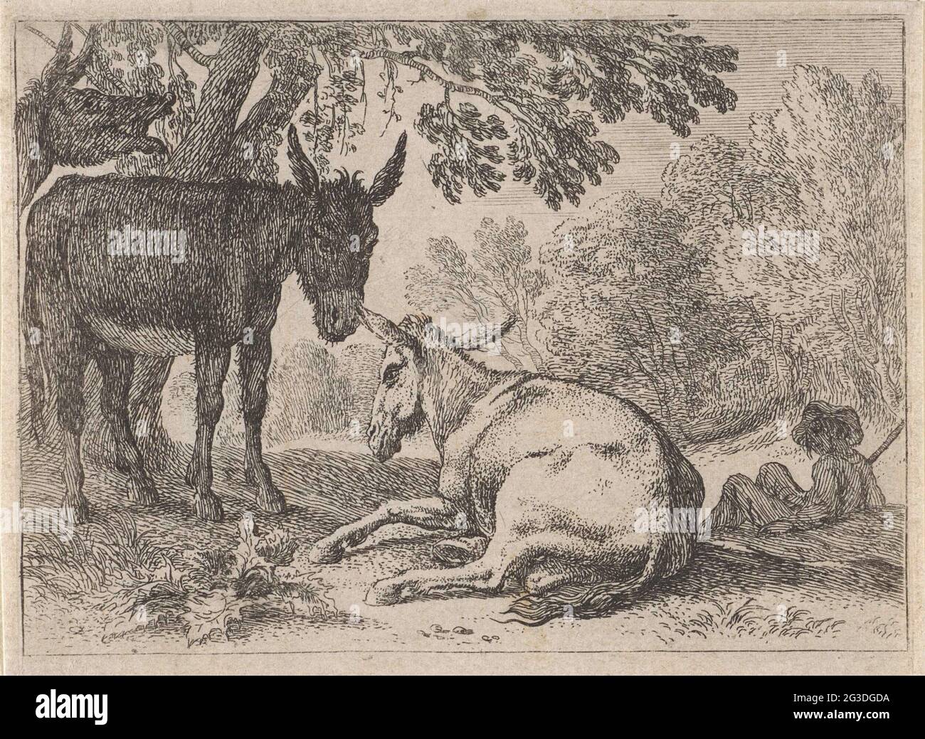 Donkeys; Landscapes with animals. Behind three donkeys under a tree a ...