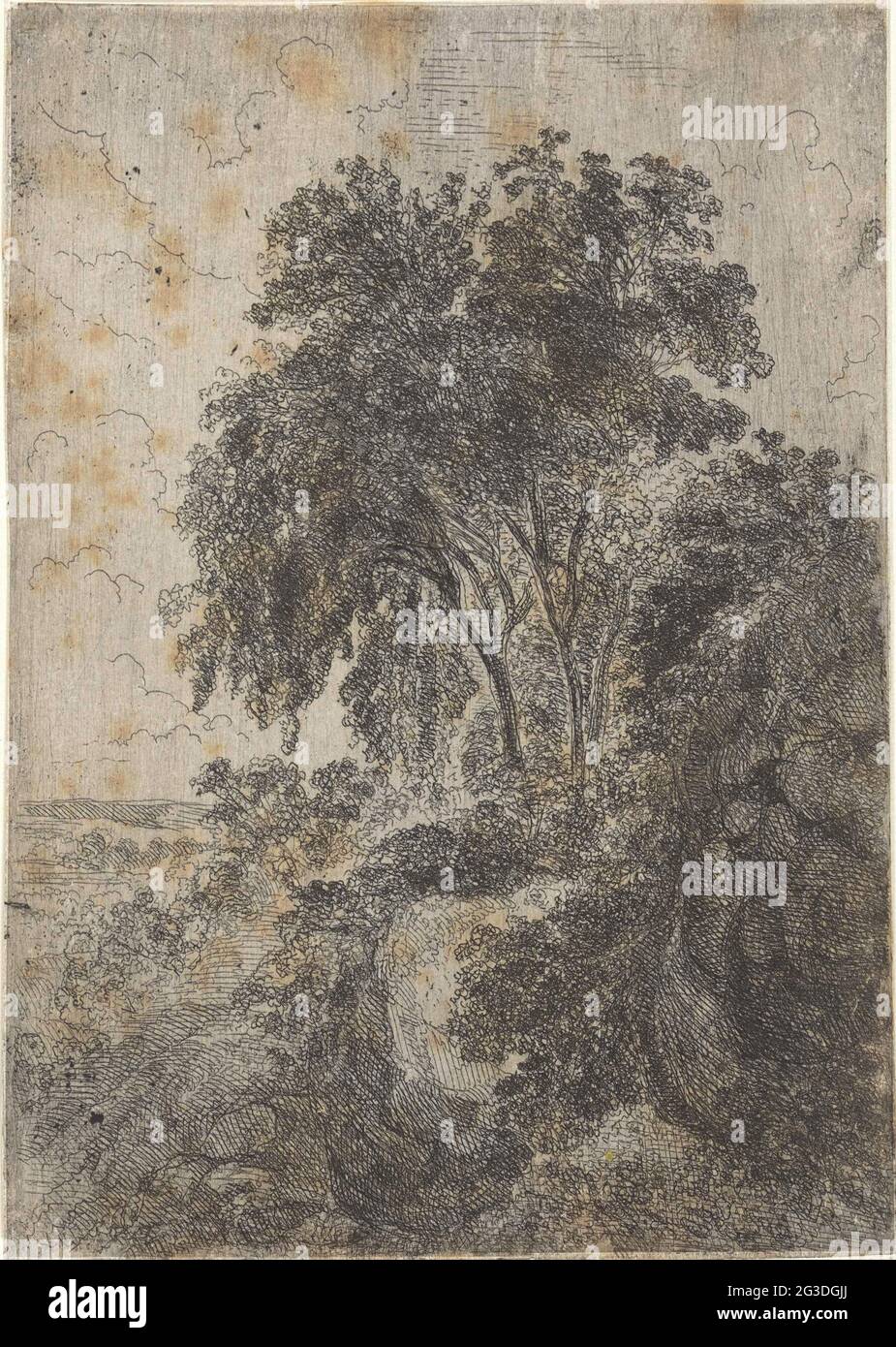 Berken hi-res stock photography and images - Alamy