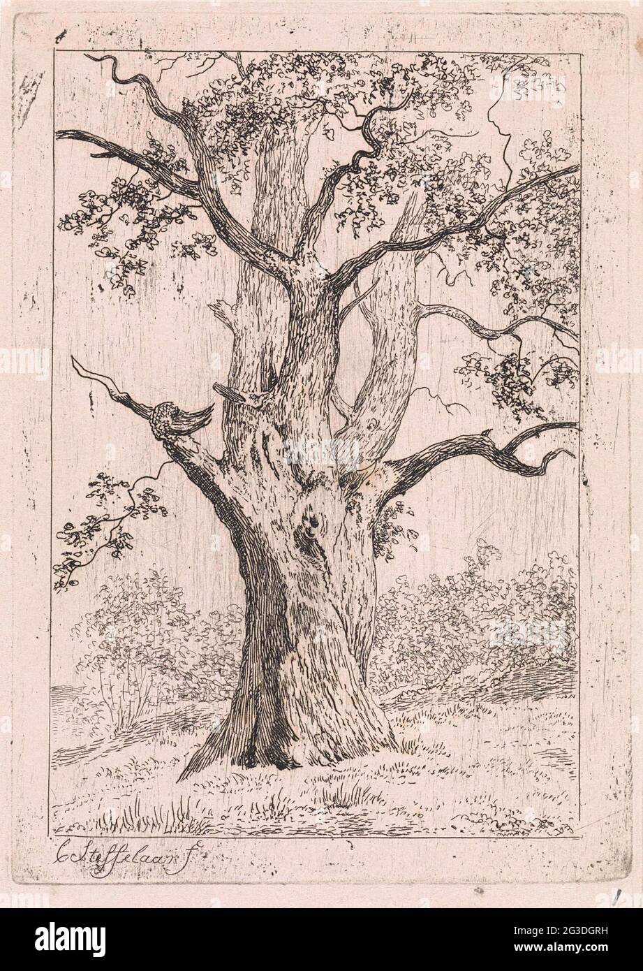 Fifth suite hi-res stock photography and images - Alamy