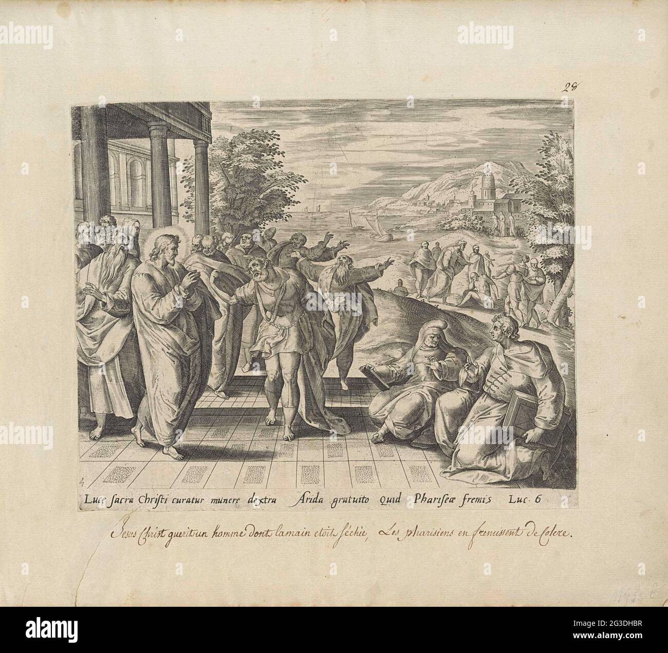 Shrivel Shriveled High Resolution Stock Photography and Images - Alamy