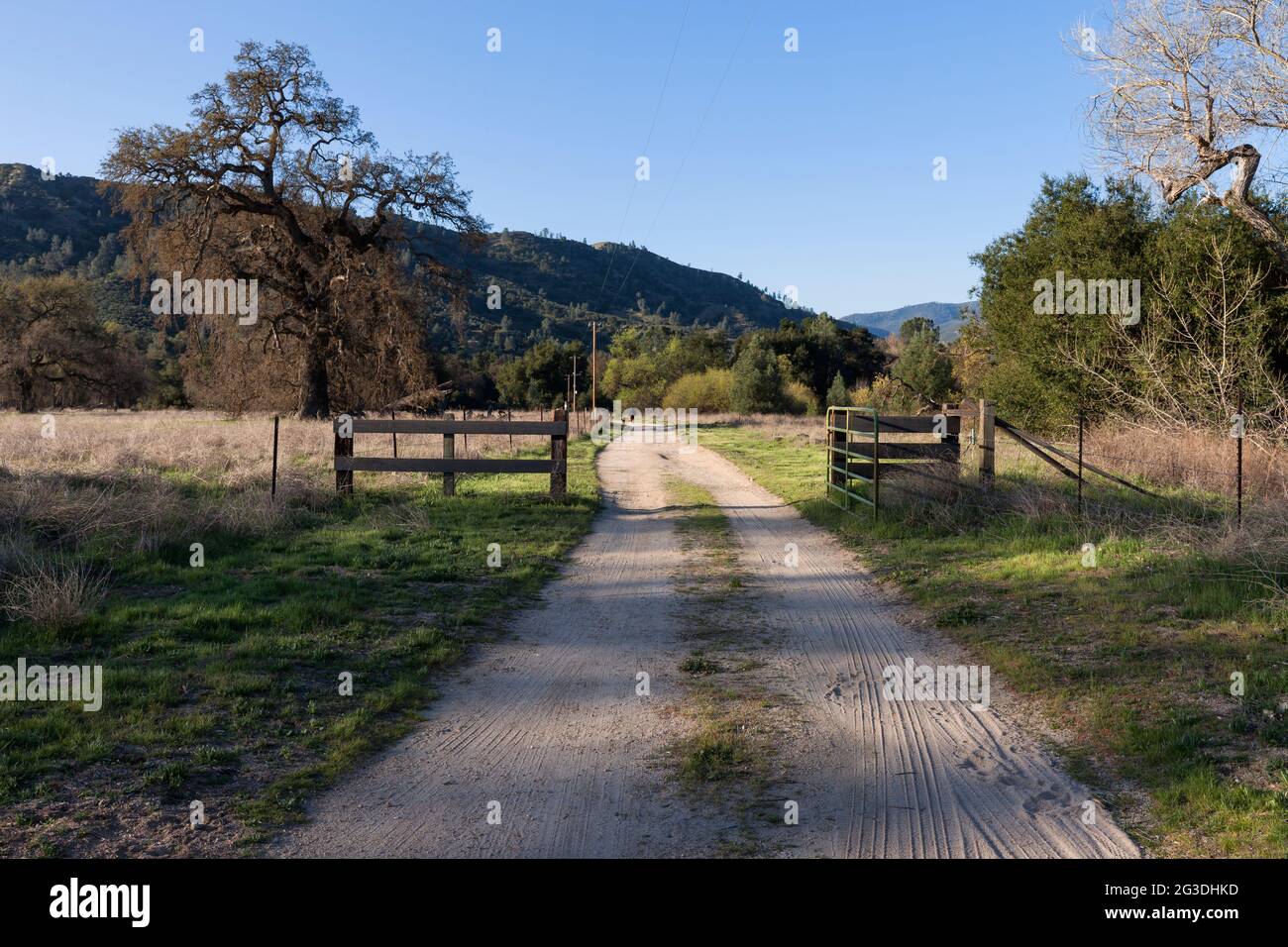 The Bacon Road passes through a number of farms along it's route and ...
