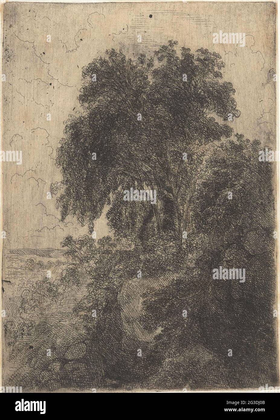 Berken hi-res stock photography and images - Alamy