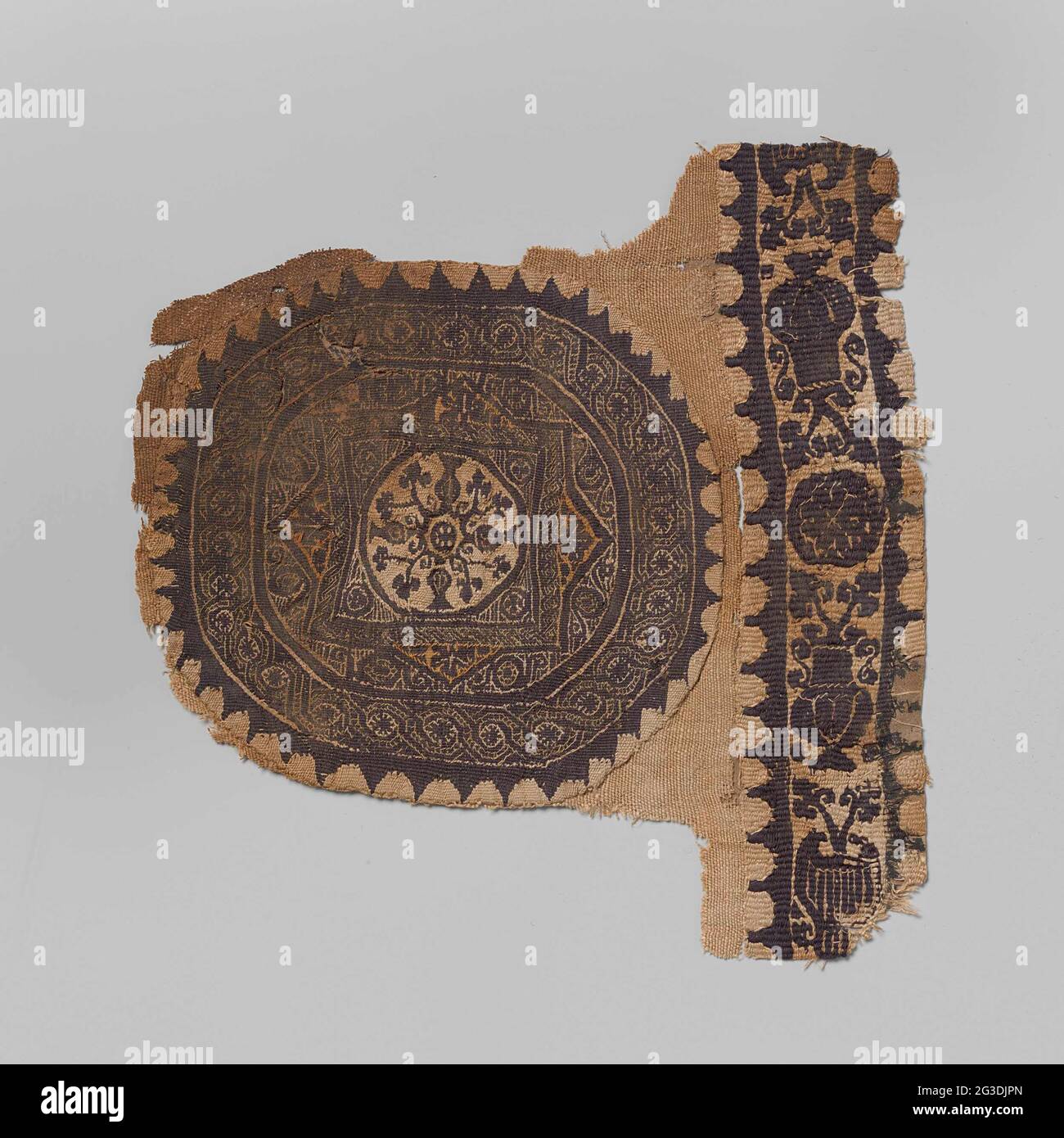 Toothed leaf edge hi-res stock photography and images - Alamy