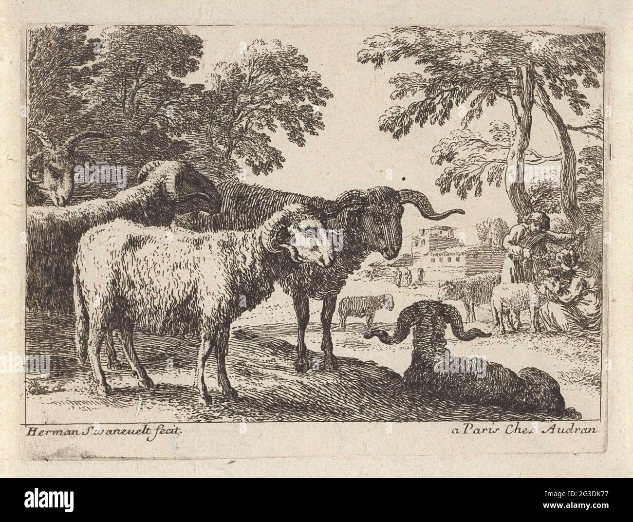 Rams; Landscapes with animals. Behind five rams are a shepherd and ...