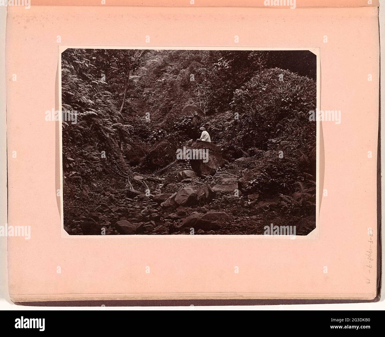 Vegetationsbild von gross banda hi-res stock photography and images - Alamy