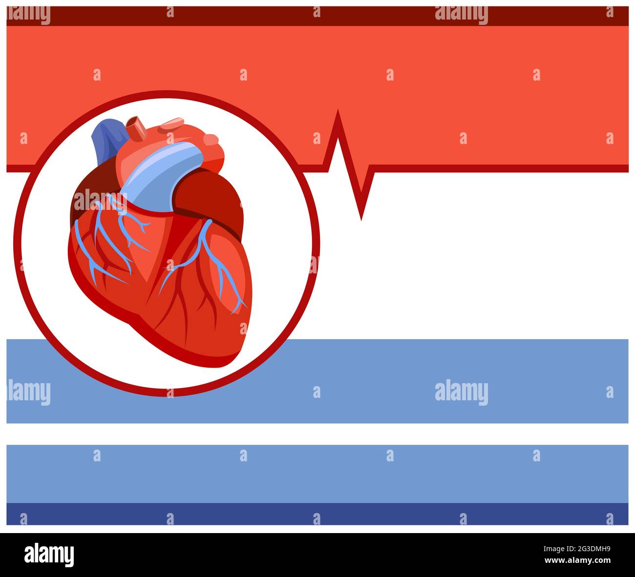 Cartoon character heart heart anatomy hi-res stock photography and ...