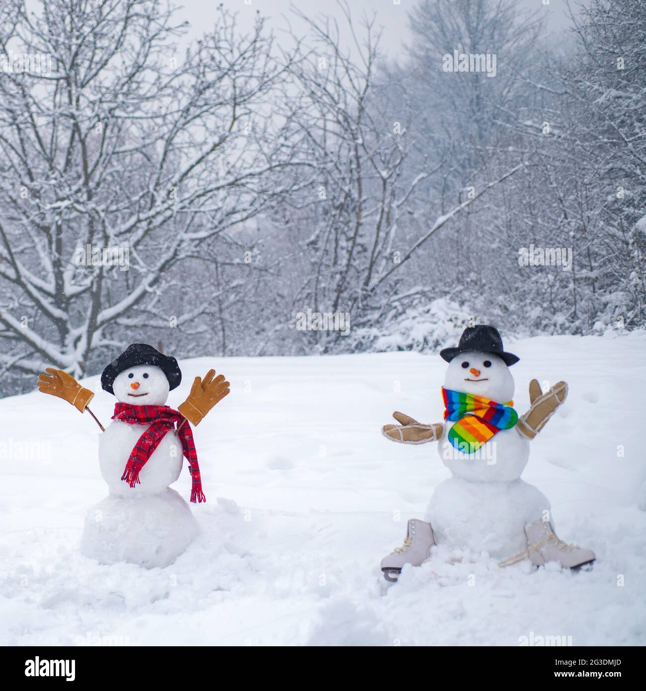 Funny Laughing Surprised snowman Portrait. Secrets fantasy. Happy new ...