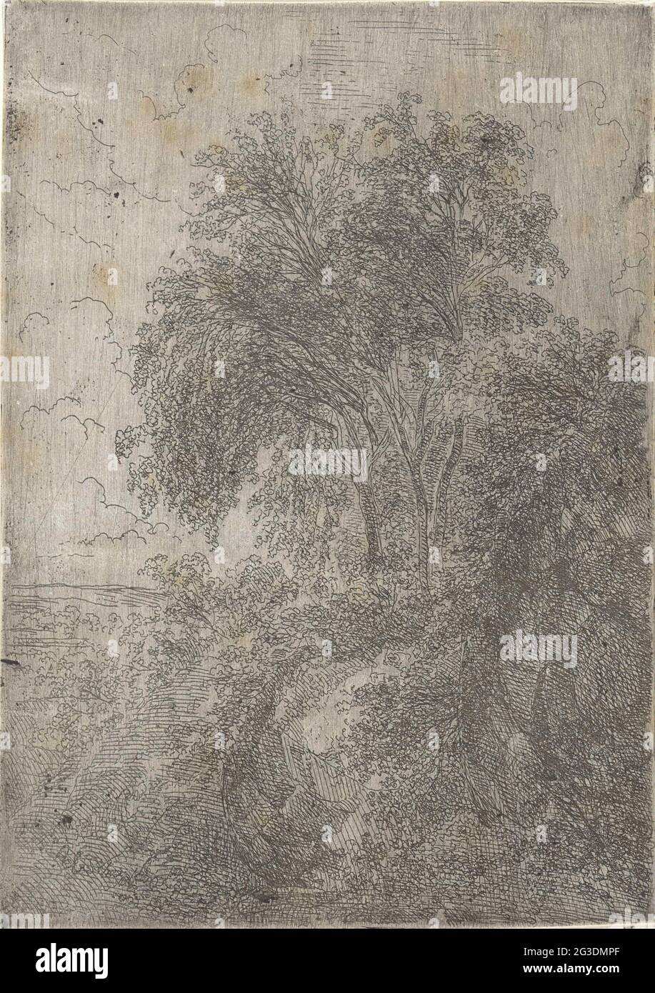 Berken hi-res stock photography and images - Alamy