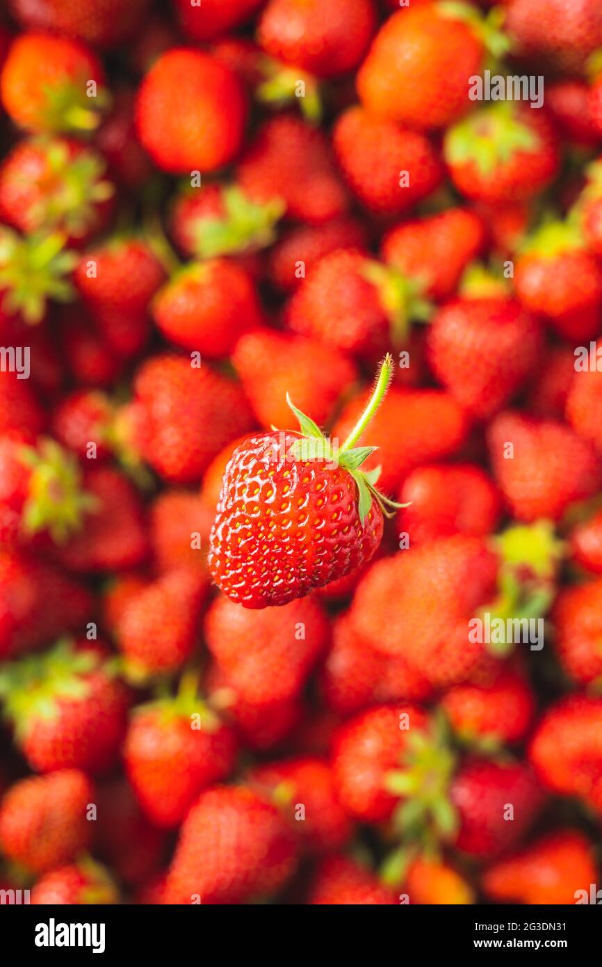Strawberry top view hi-res stock photography and images - Alamy