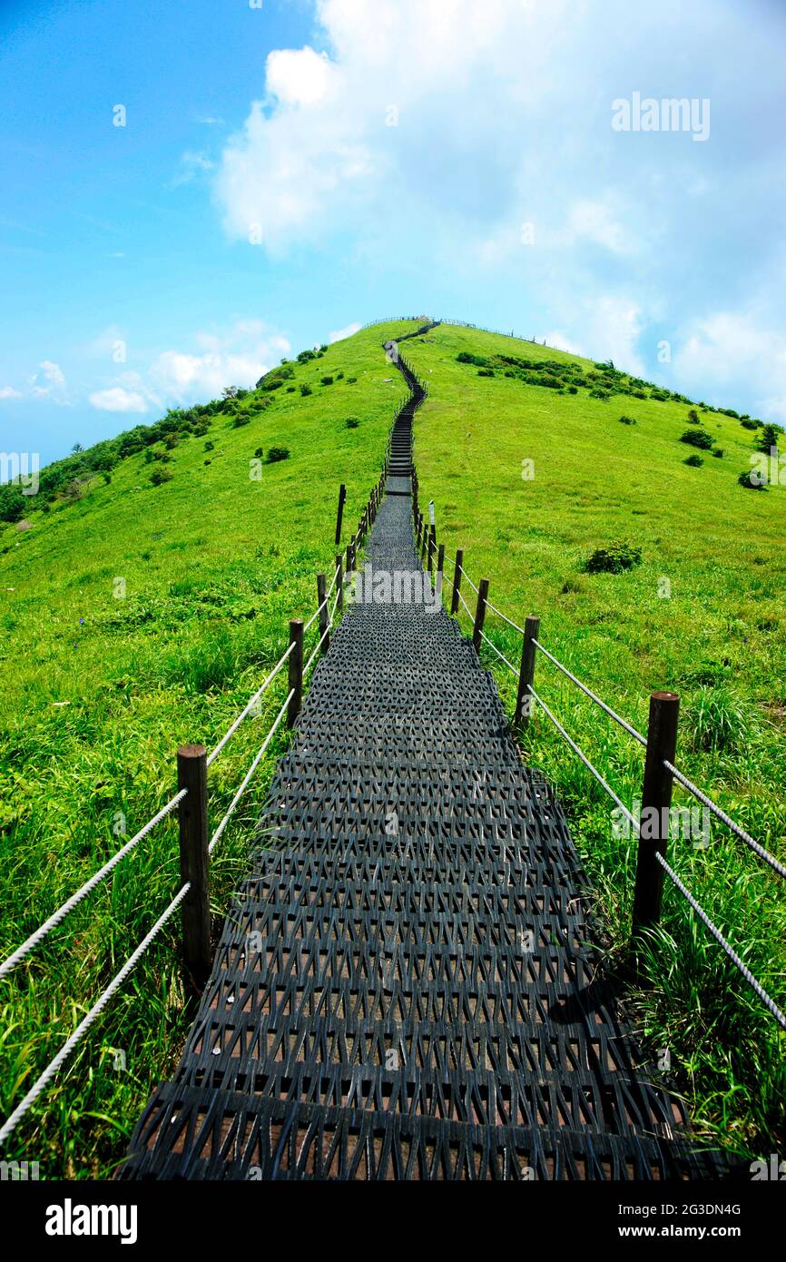 Long pathway going to the top of hill Stock Photo - Alamy