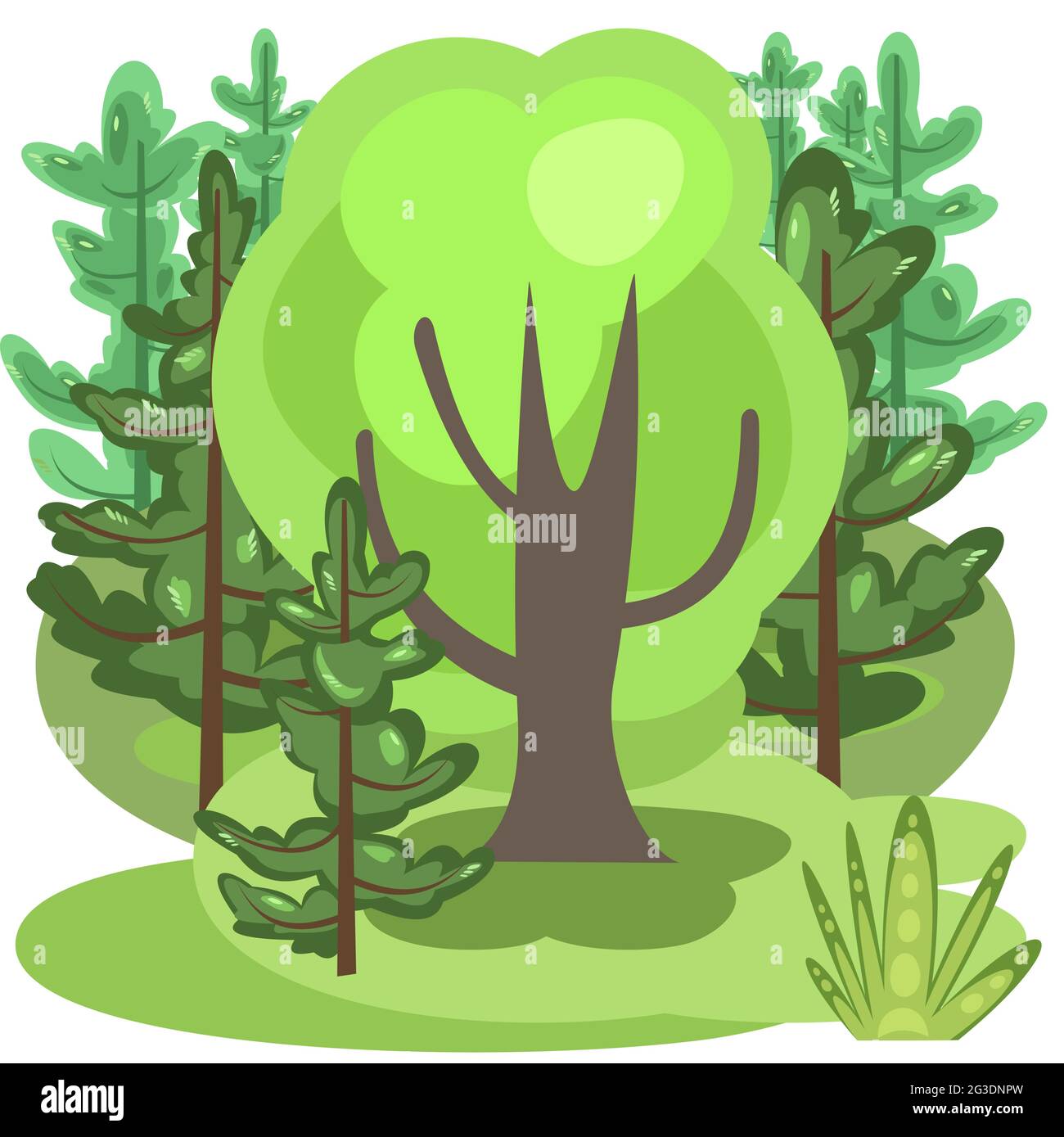 Flat forest. Square Illustration in a simple symbolic style. Funny ...