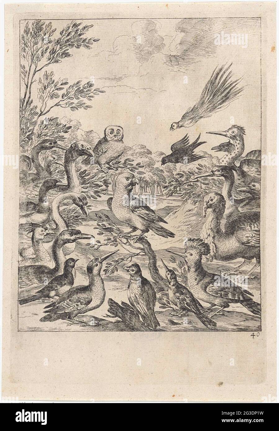 Parliament of birds; Fables of Aesopus. Different birds have been ...