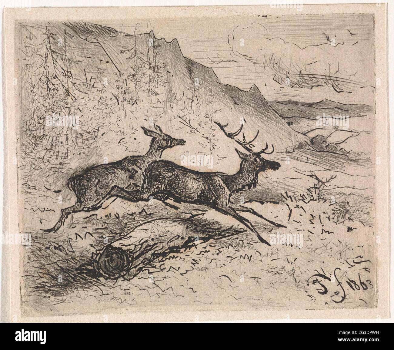 Two running deer Stock Photo - Alamy