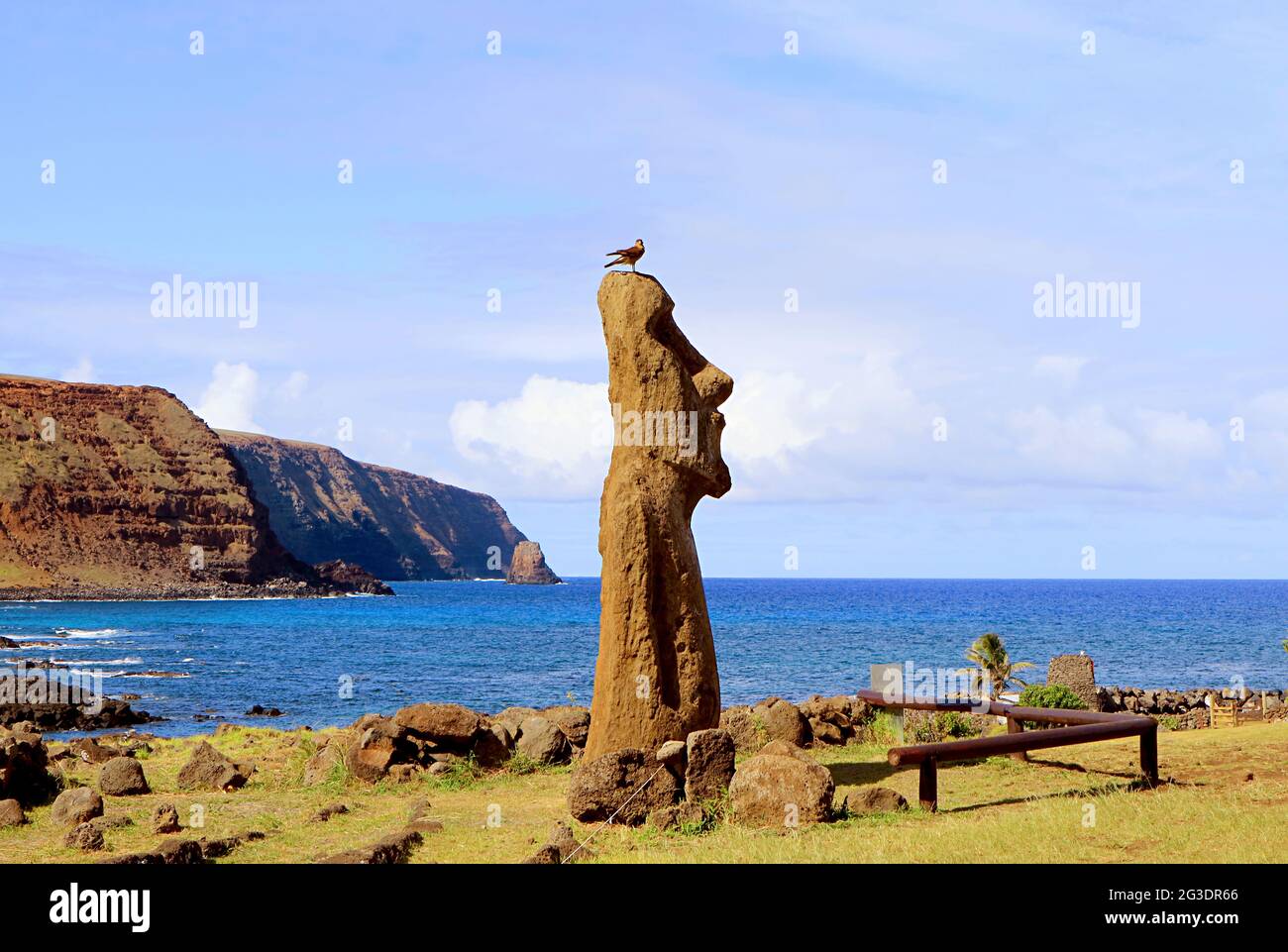 Moai A Vere Ki Haho also known as "Traveling Moai" at the entrance to ...