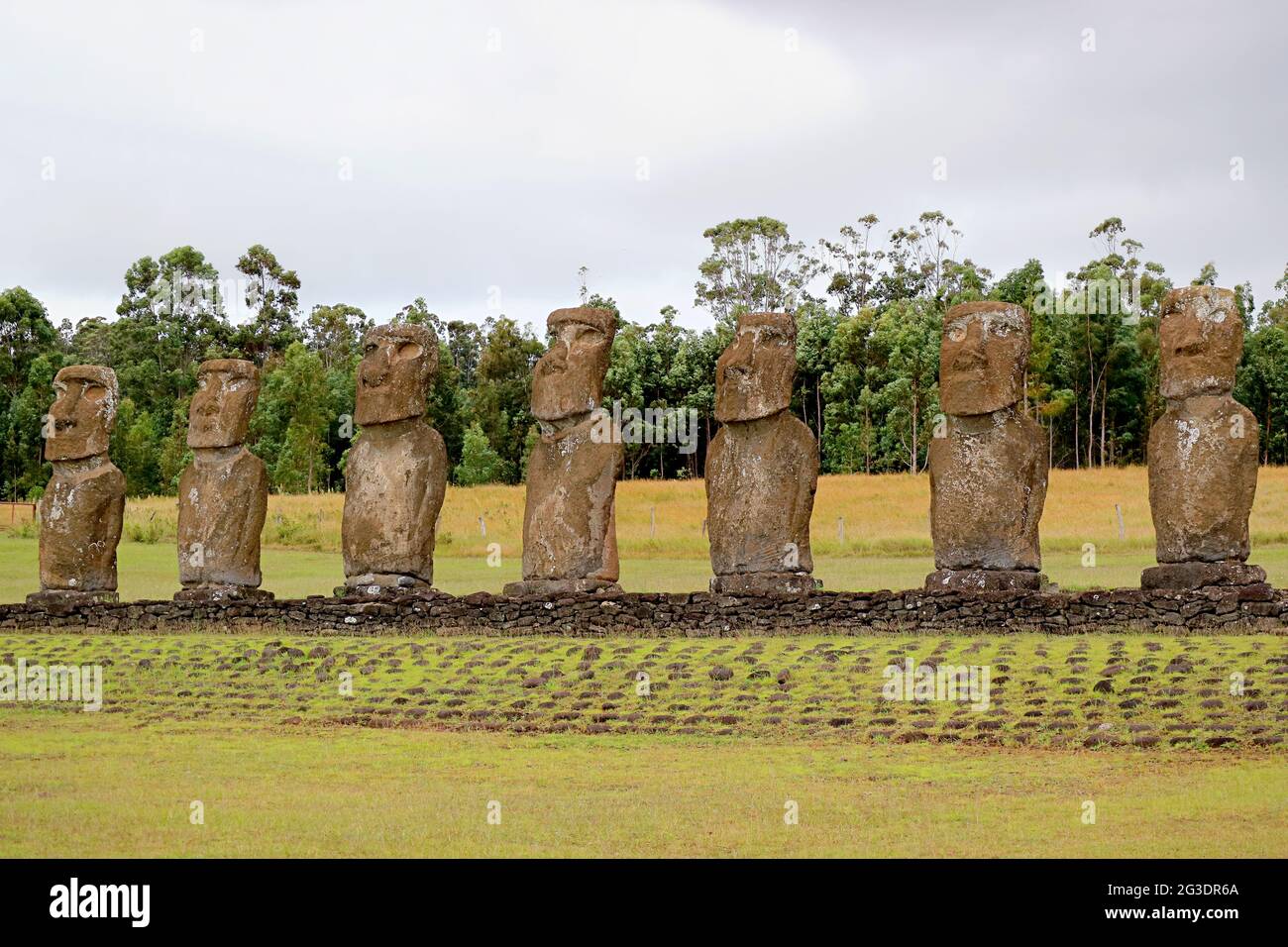 Ahu Akivi Ceremonial Platform which the Group of Moai Statues Looking ...