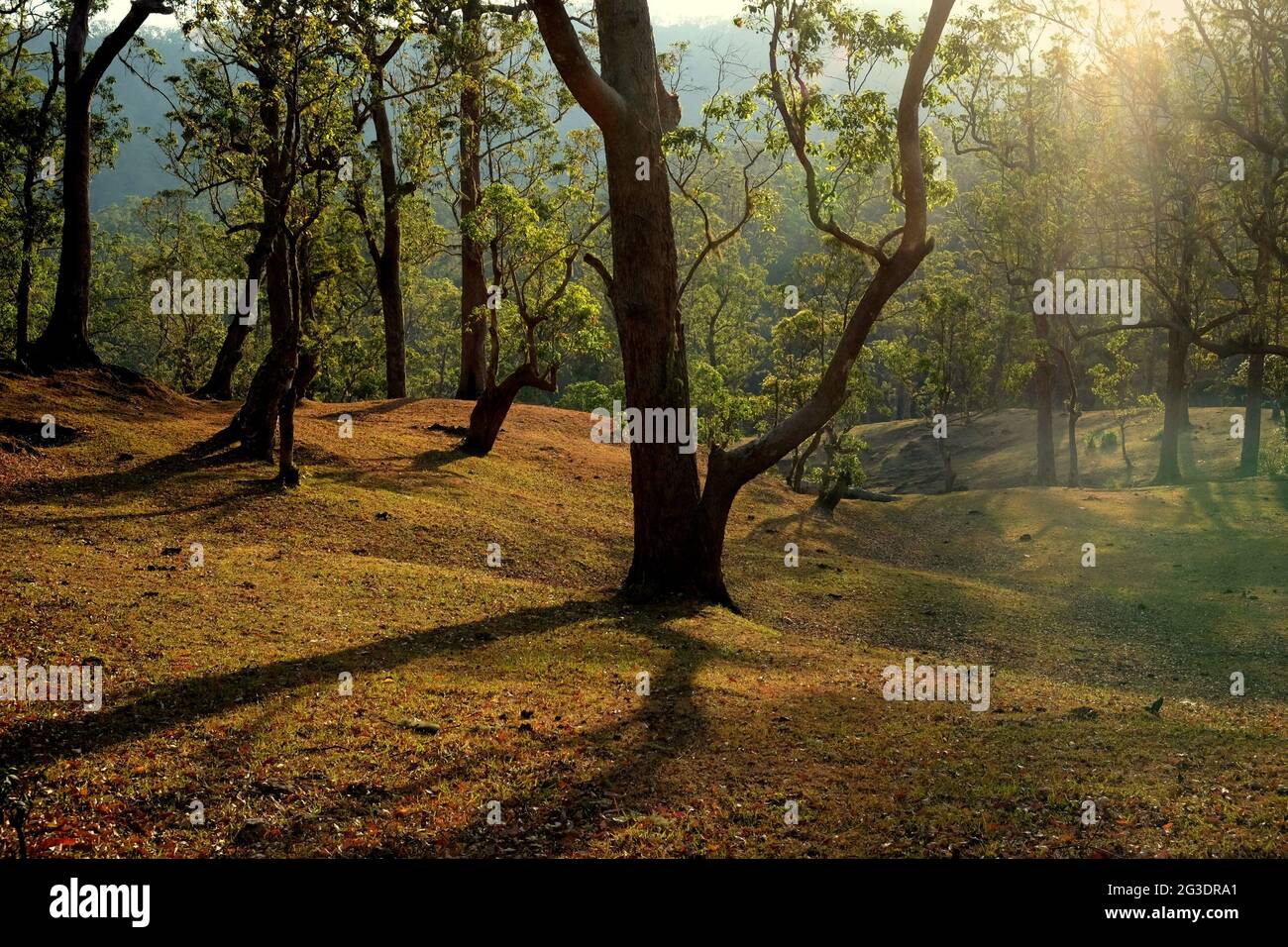 Fatumnasi, South Central Timor regency, Timor Island, East Nusa ...