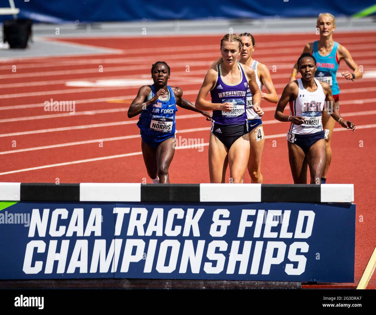 Rainsberger hi-res stock photography and images - Alamy