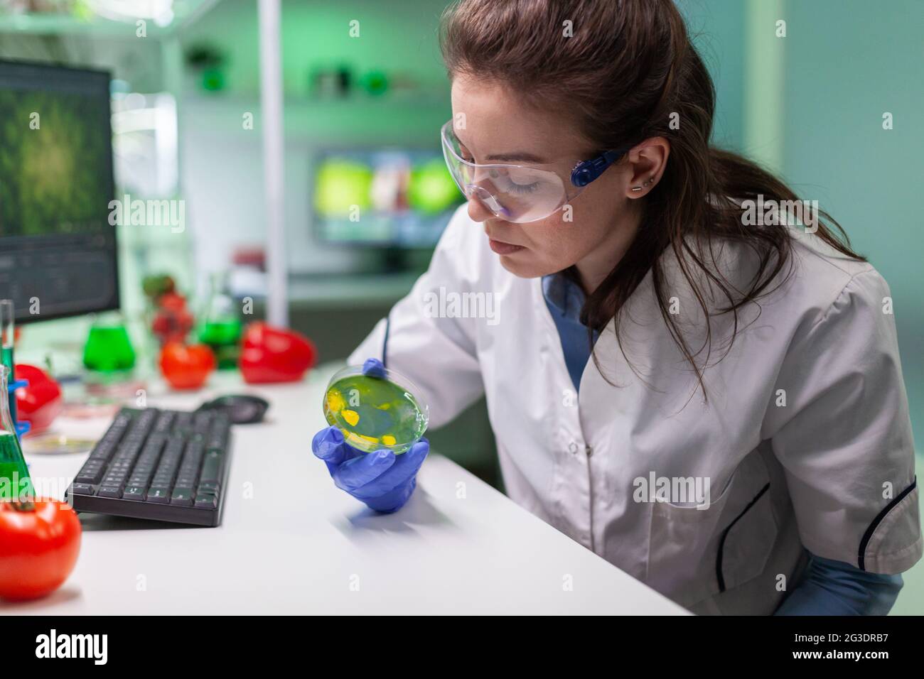 Pharmaceutical researcher analyzing solution test from petri dish for ...