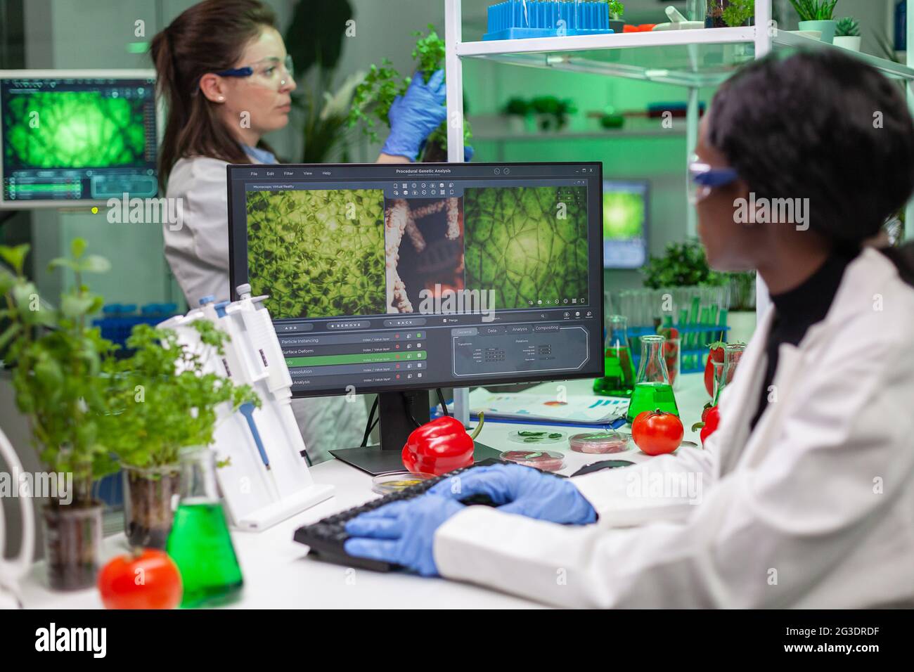 Biologist researcher typing gmo expertise on computer for scientific ...