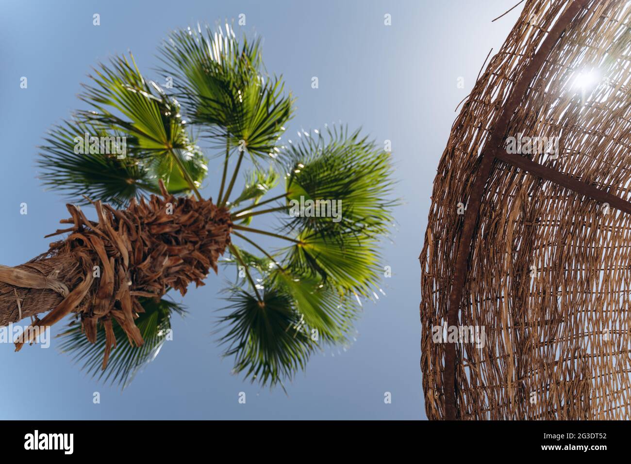 Straw umbrella protects from direct sunlight. Bottom view of umbrella ...