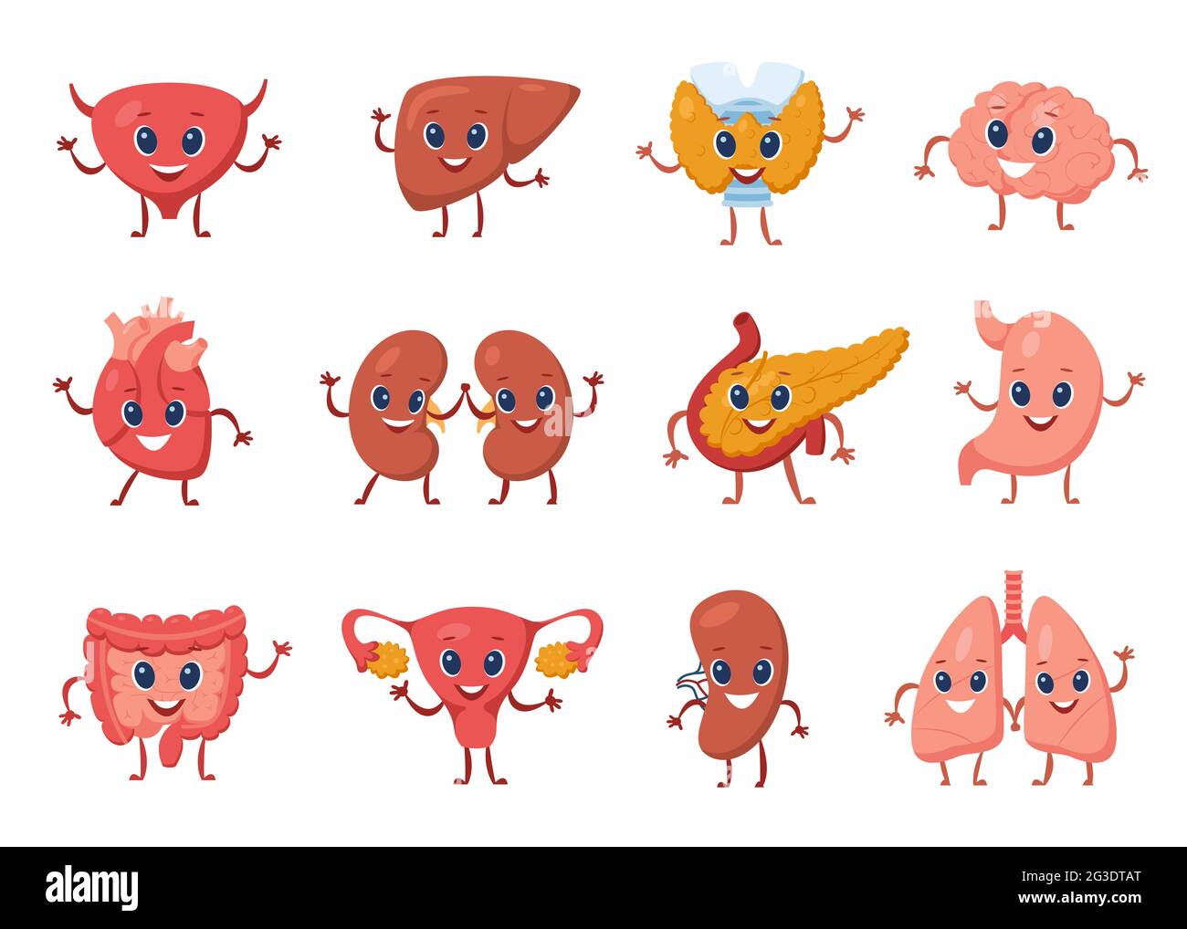 Cute internal organ with funny faces. Heart, stomach, liver, kidney, lung, brain, bladder ...